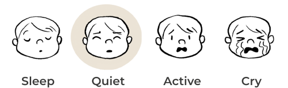 Compare Cradlewise With Other Baby Beds and Rockers